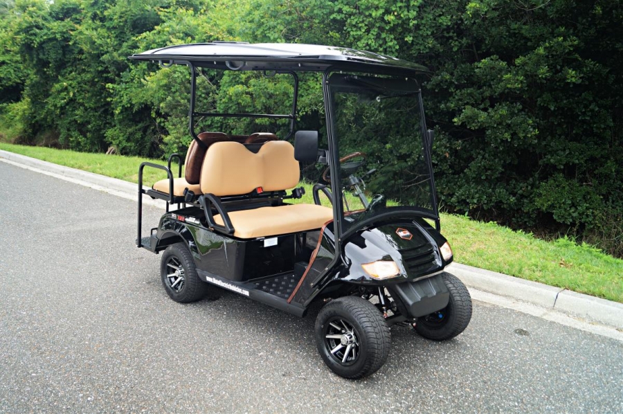 Golf Cart Push & Pull Hand Controls for Disabled Drivers | Moto ...
