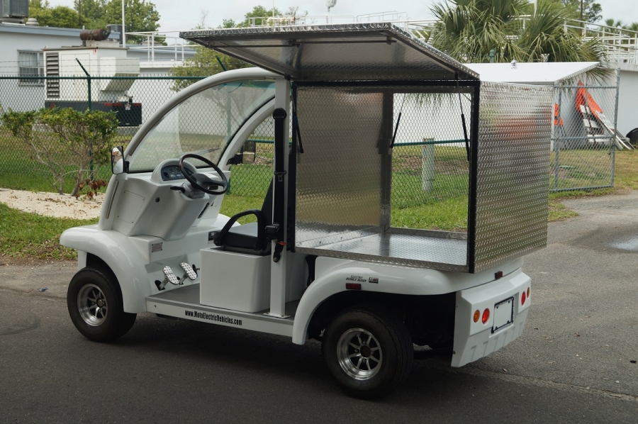 2 Seater Enclosed Utility Cart | Small Enclosed Electric Vehicle | Moto ...