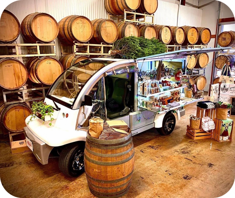 MotoEV Electro Bubble Buddy LSV 2 Passenger Enclosed Utility Deluxe ...